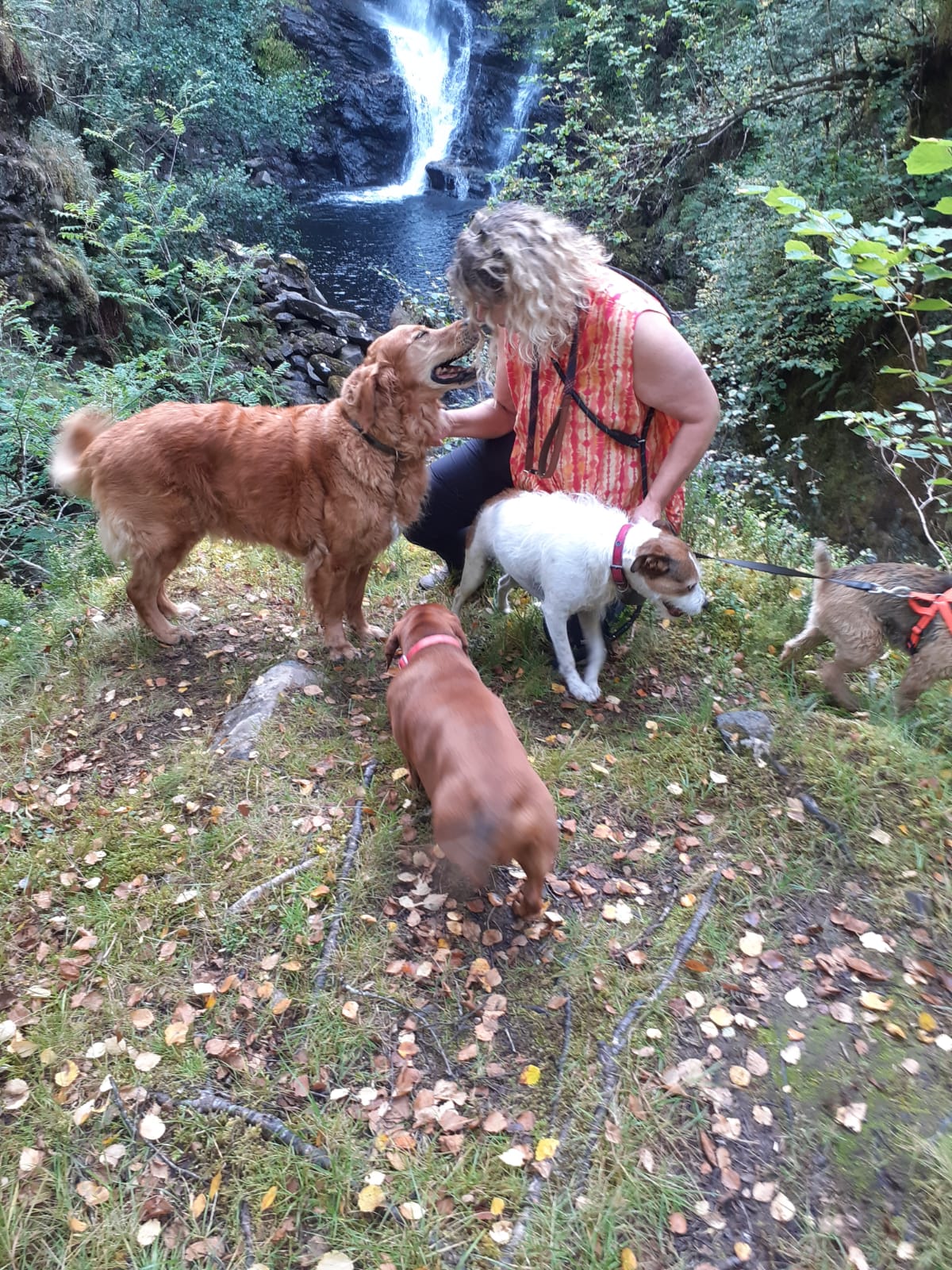 Your local adventures for your dog