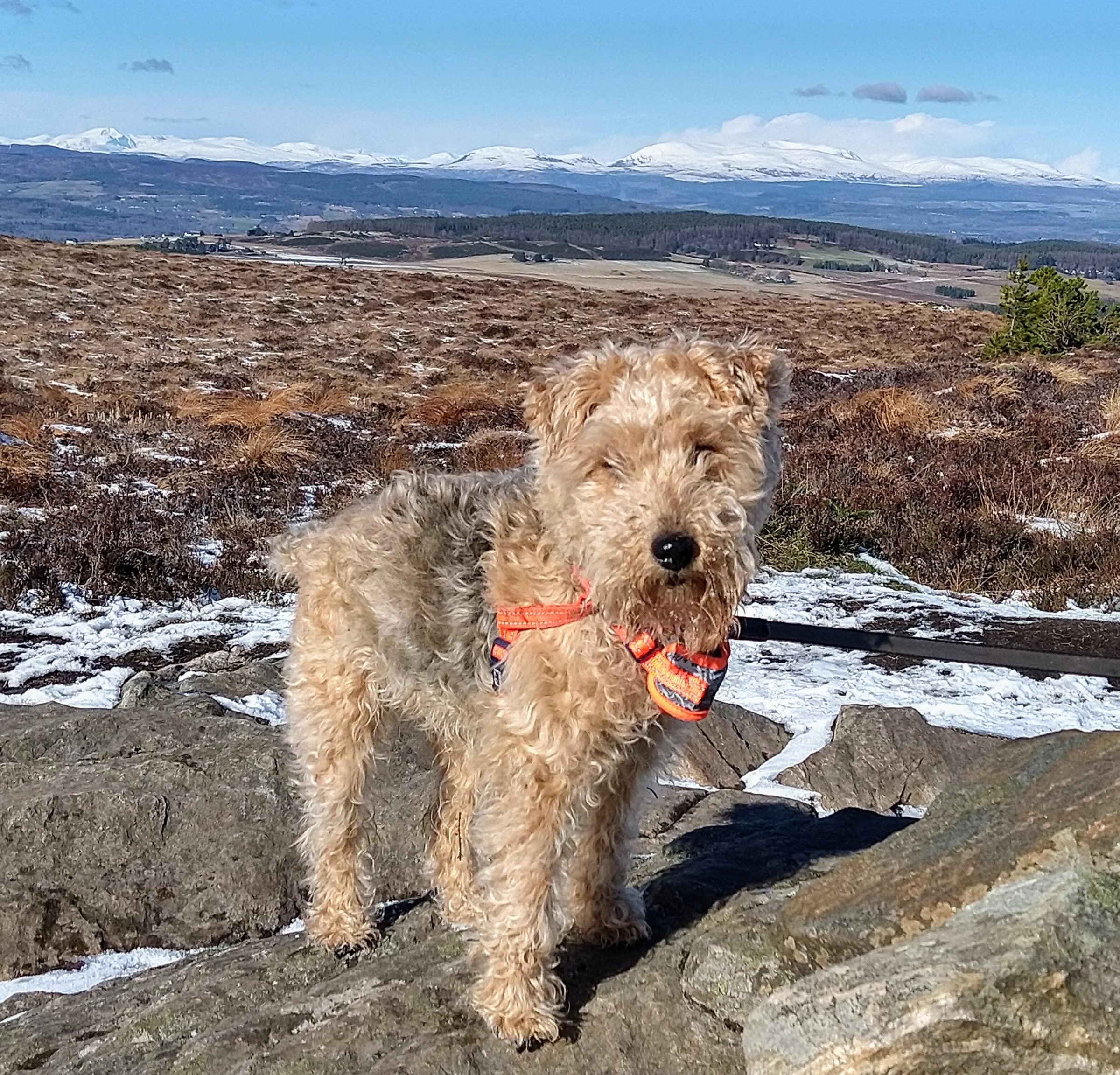 Your local adventures for your dog